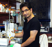 Matteen Rafiqi - Abouheif Lab, Biology Department, McGill University